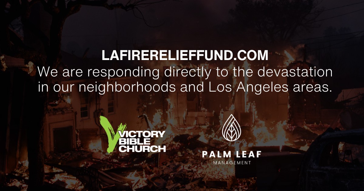 LA Fire Relief: Join the Fight to Support Wildfire Recovery with ...