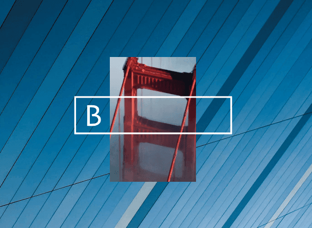 Bevelle Capital - Grupo empresarial