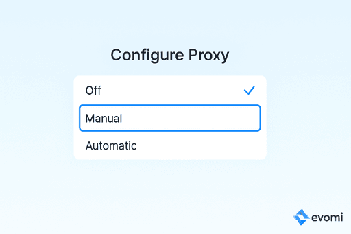 iPhone & iPad Proxy Setup: Step by Step - Evomi Blog