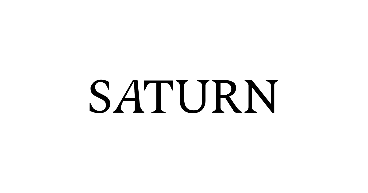 Saturn | AI for Financial Advice