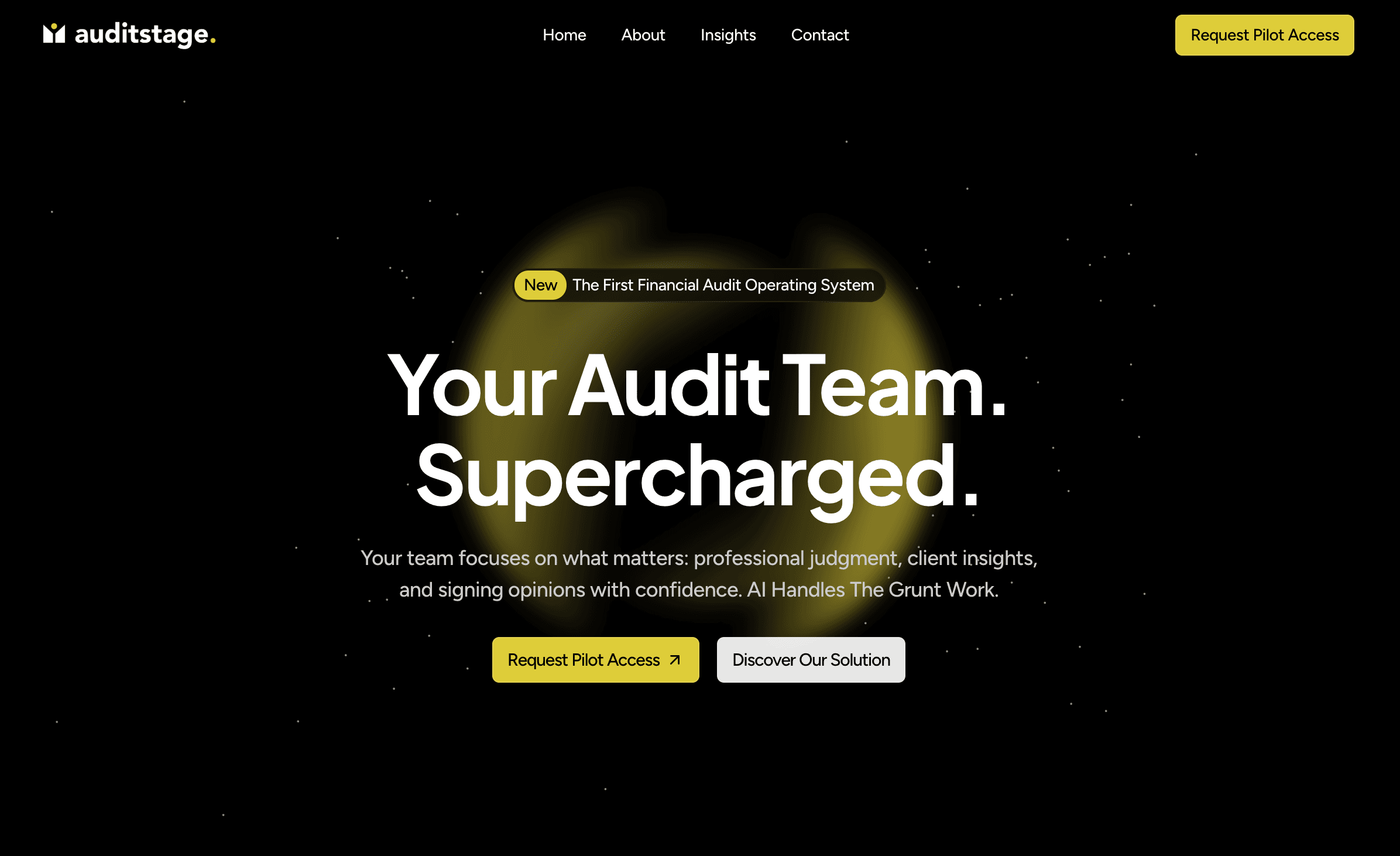 Auditstage - The Modern Workspace for Auditors