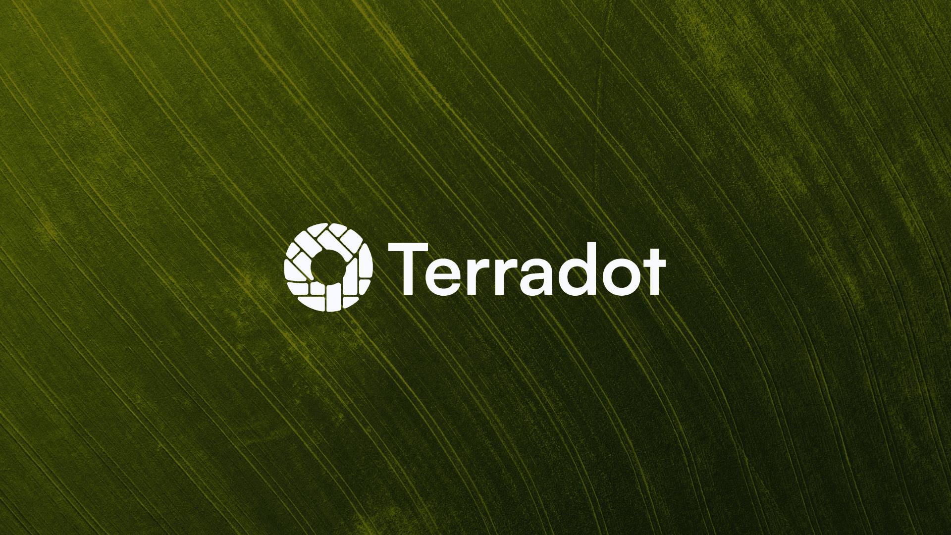 Terradot | Team