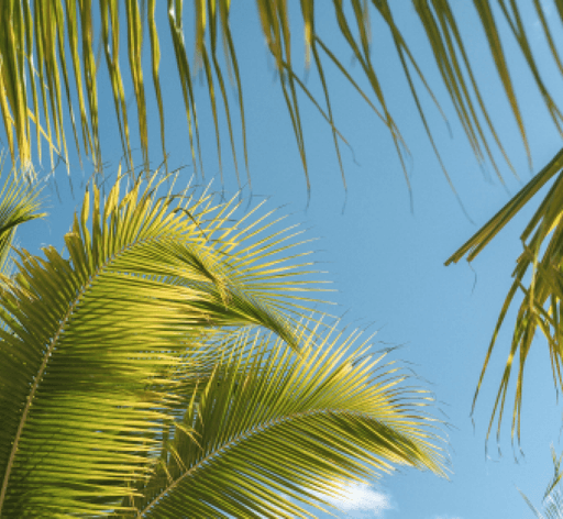 How many days until Spring? 2025