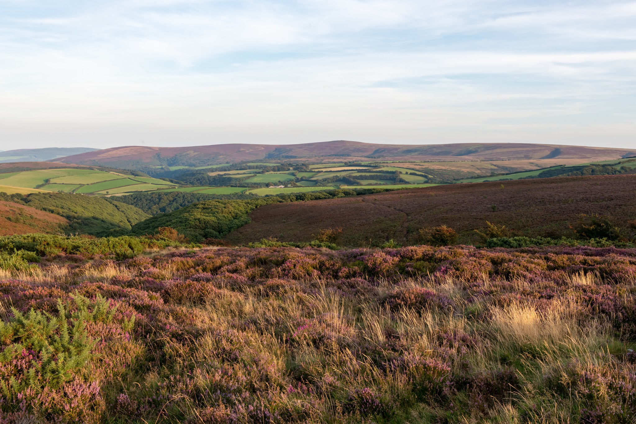 Carbon Direct Releases the 2024 Criteria for High-Quality Carbon ...