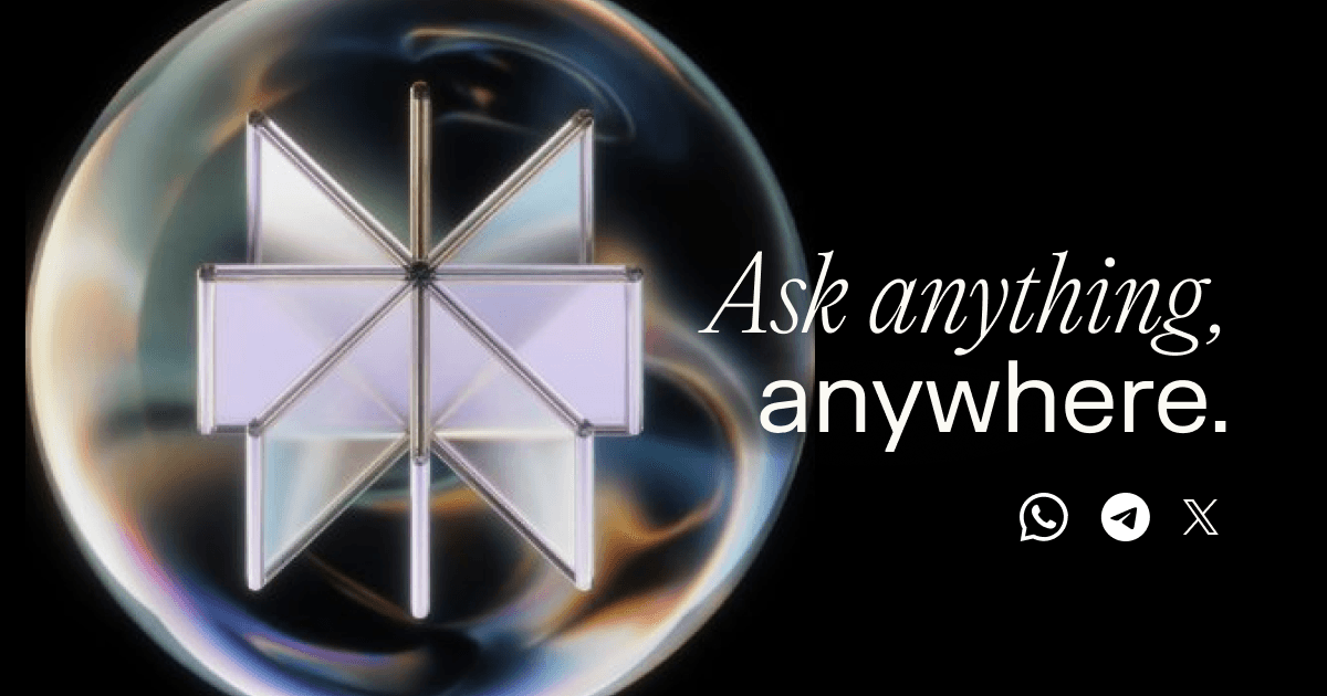 Ask Perplexity