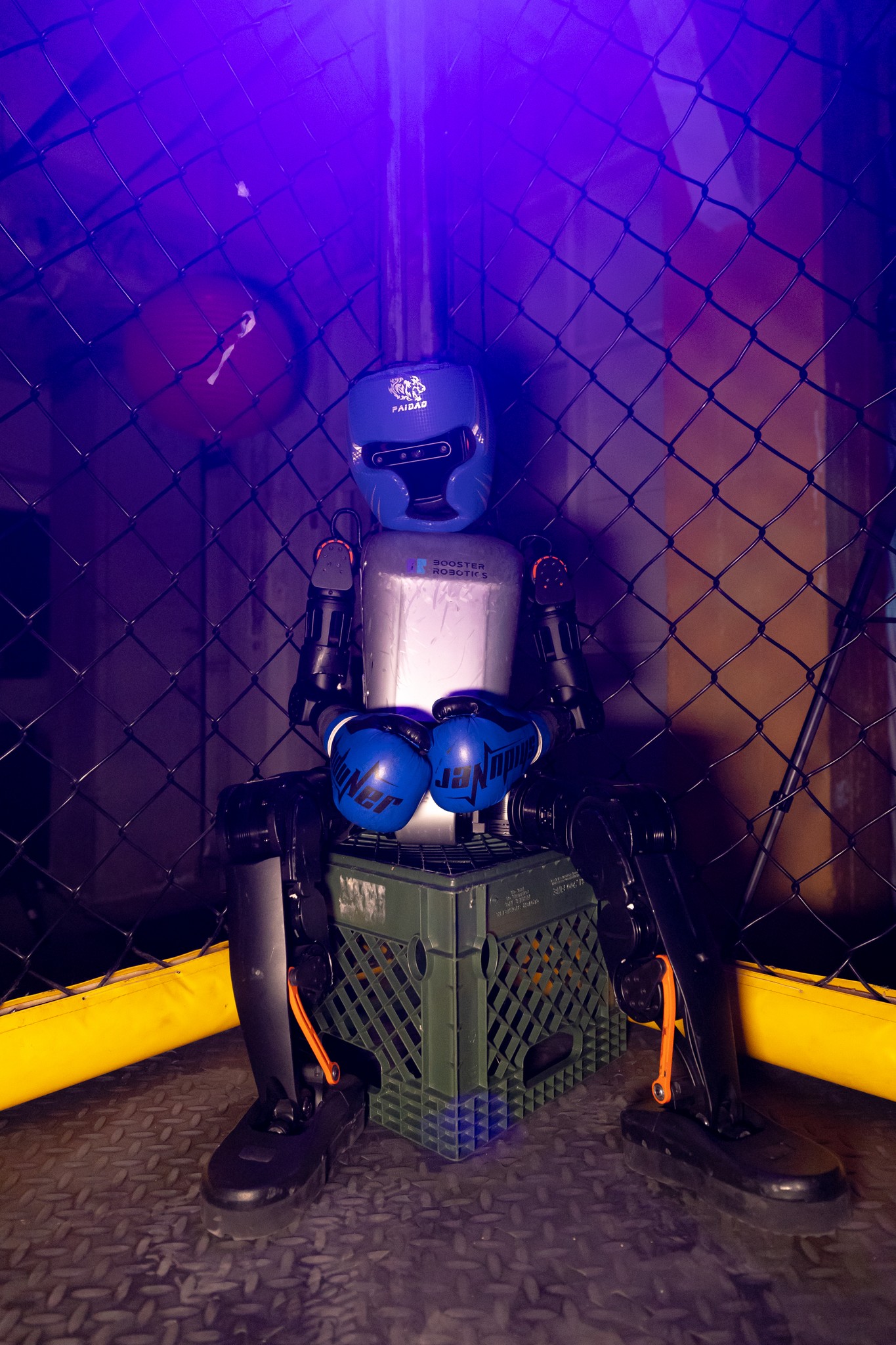 UFB: Ultimate Fighting Bots