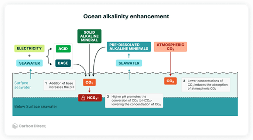Marine carbon dioxide removal: What it is and how it works | Carbon Direct