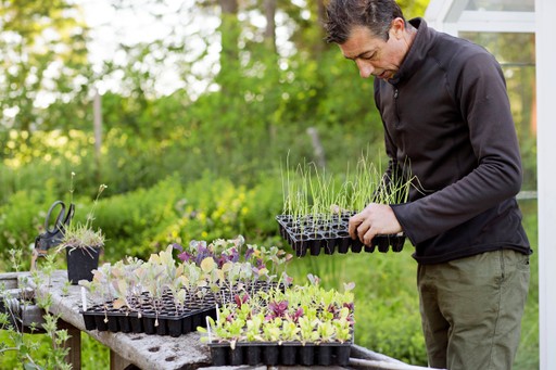 Mem – Your AI Thought Partner