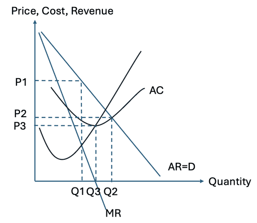 Microeconomics Chapter 17: Market Strcutures - Contestable Markets ...