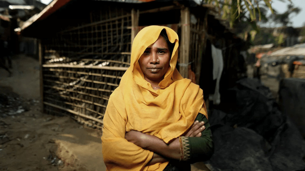 Felix Haas Design + Investments