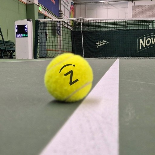 Electronic Line Calling and Call Challenges in Tennis