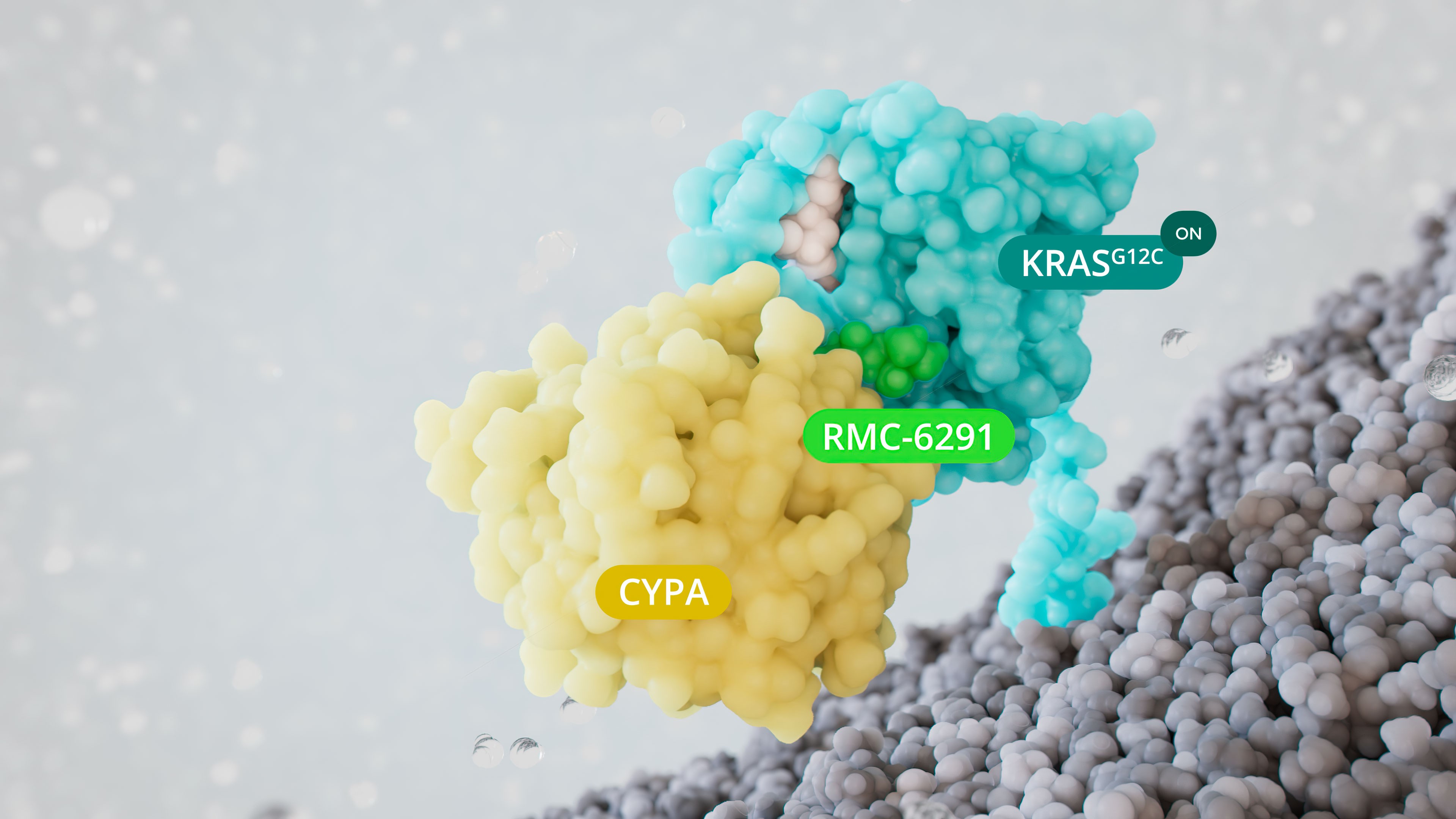 Animation KRAS Pathway & Tri-Complex Case Study | Visual Science