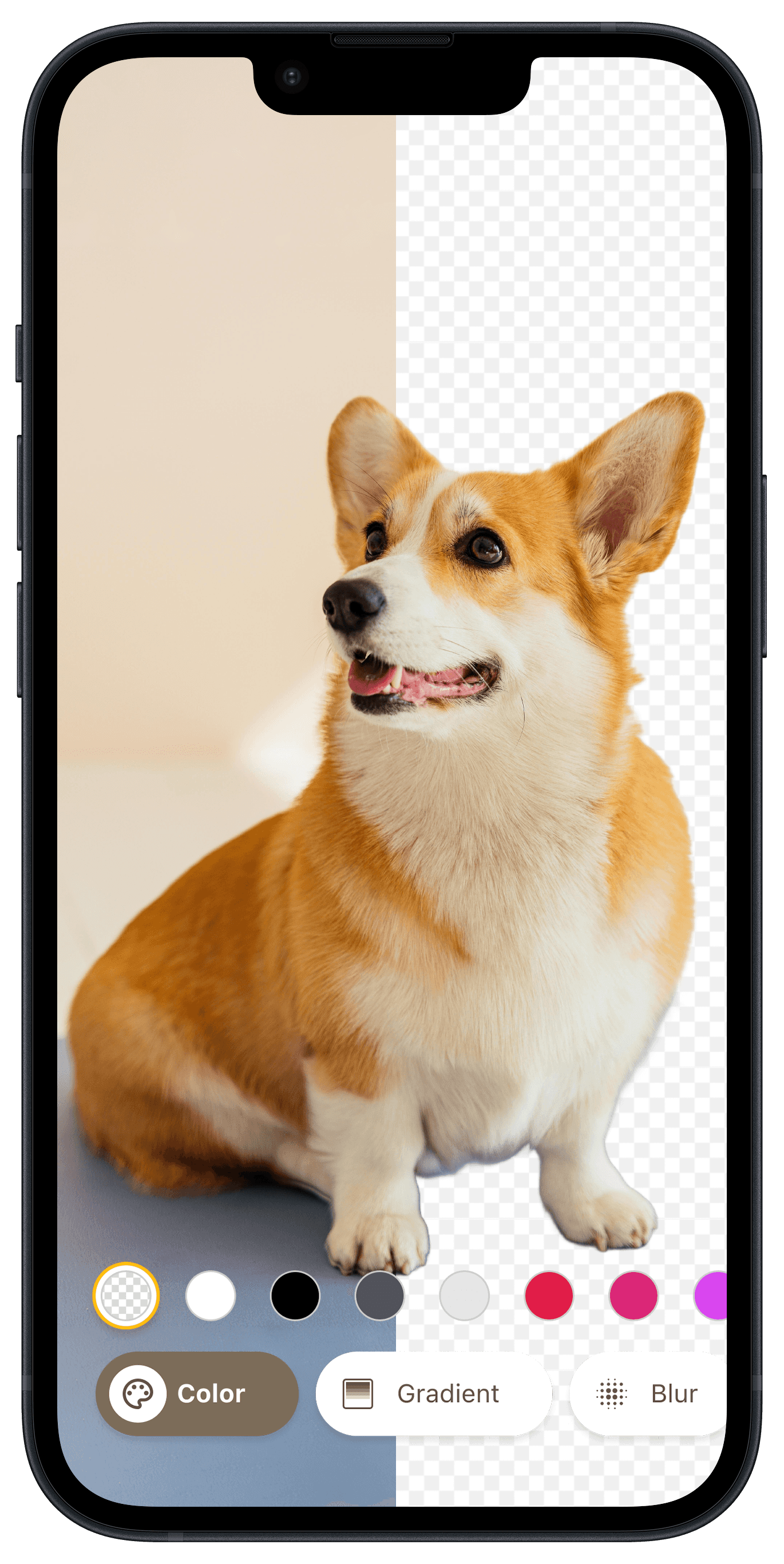 Instant Background Remover - Erasee