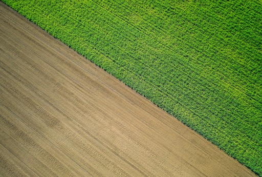 Saudi Desert Control