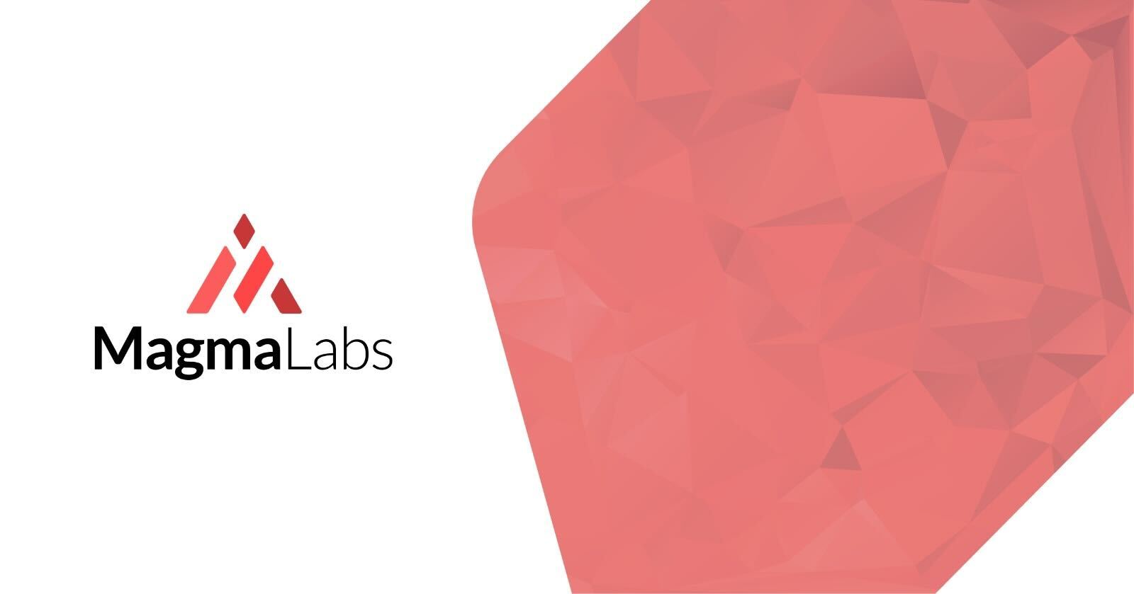 MagmaLabs Case Studies | Success Stories in Logistics, Health-Tech, E ...