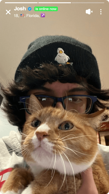 How Wizz Works: Discover Our Safe & Fun Social Connection Platform