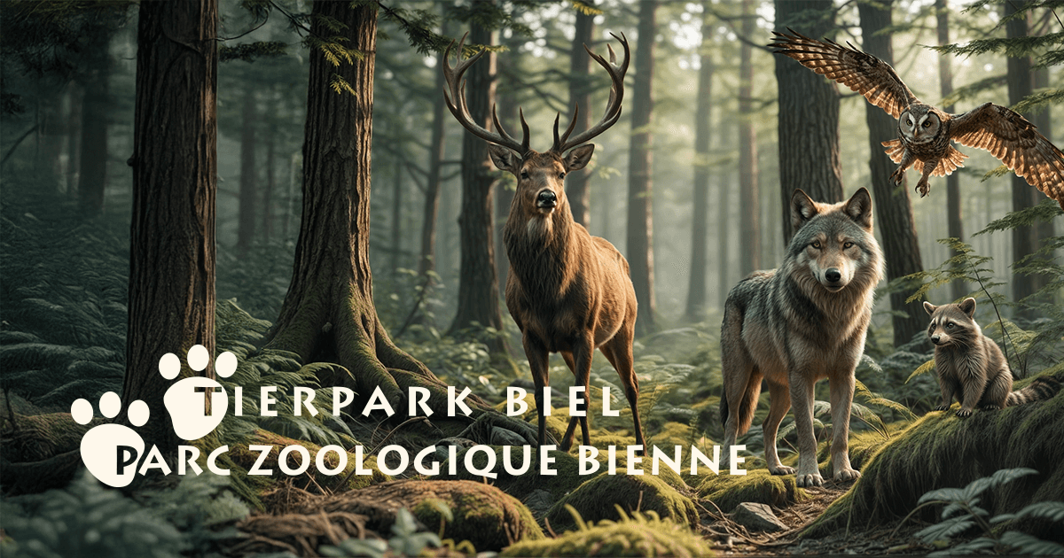 Parc zoologique de Bienne - «Je suis en quelque sorte marié au parc ...