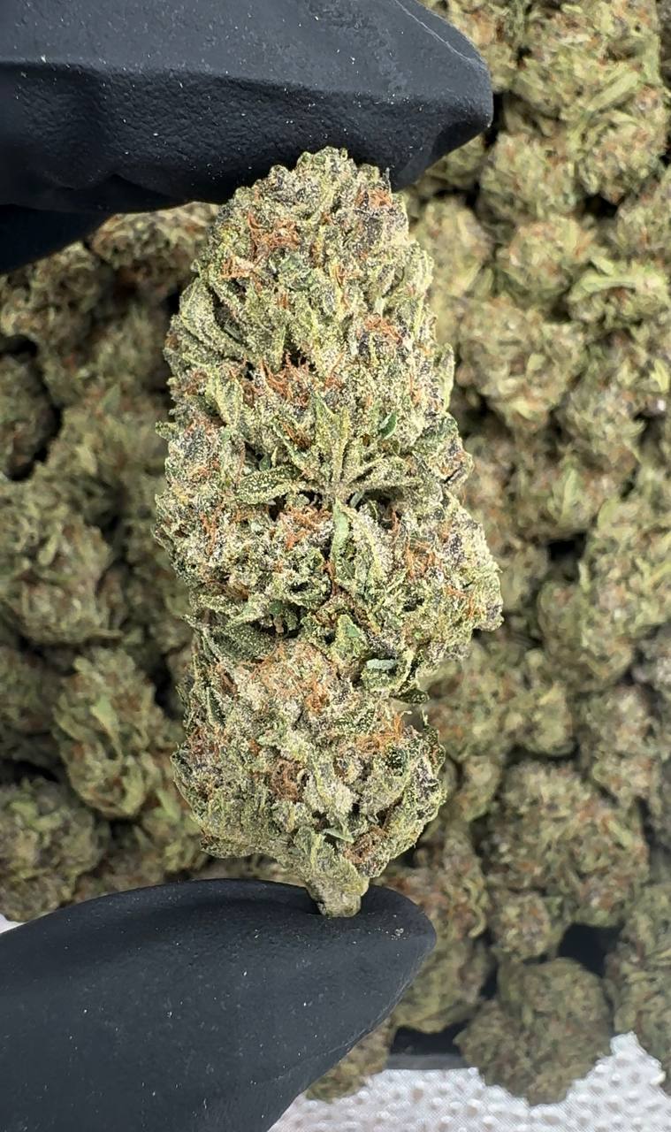 Flower - Cali Exotics