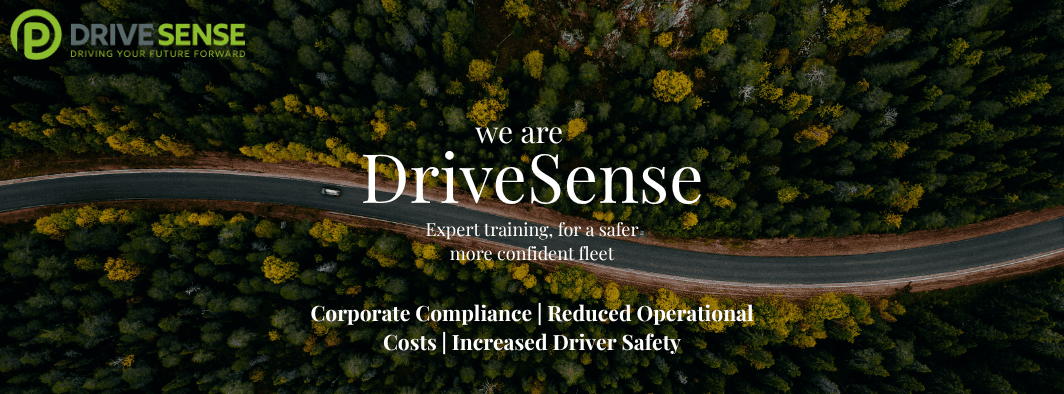 DriveSense: Fleet & EV Driver Training