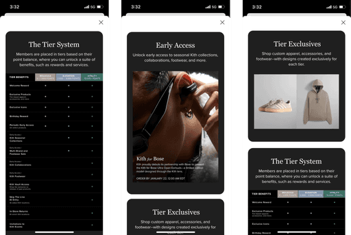 VIP Loyalty Programs Explained: What it is, benefits, and examples ...