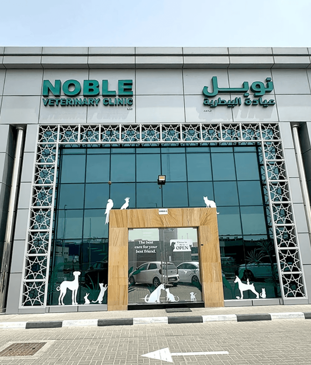 DIP Vet Clinic in Dubai | Emergency Pet Care at Noble Vet DIP