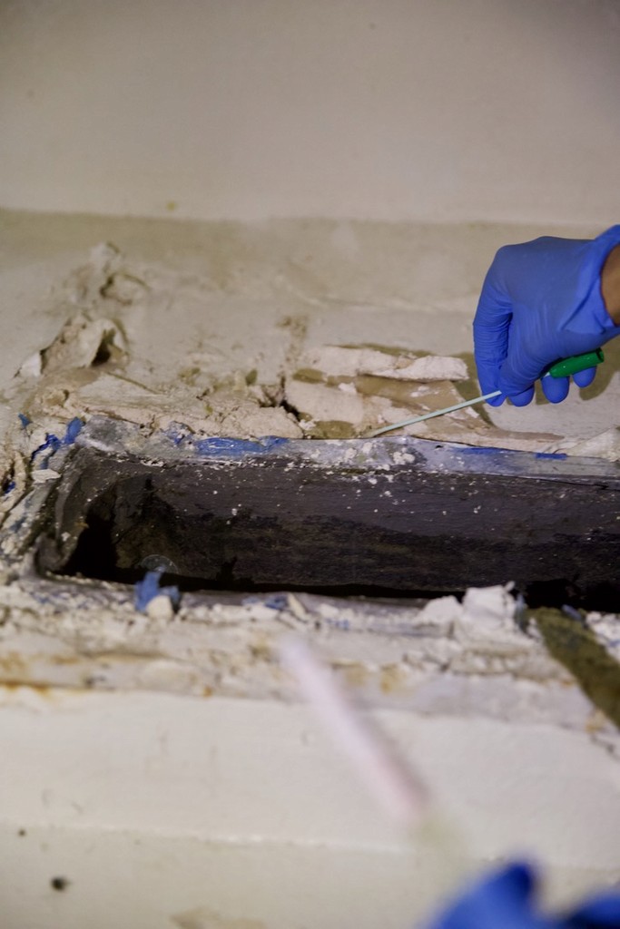24 Hour Mold Inspection | Certified Mold Testing & Risk Assessment