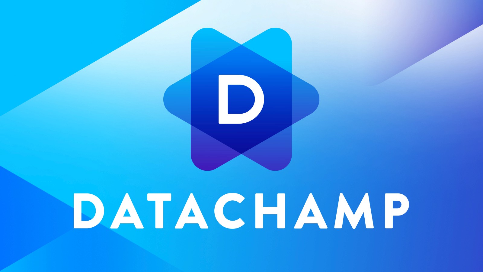 DataChamp Excel & CSV Exports