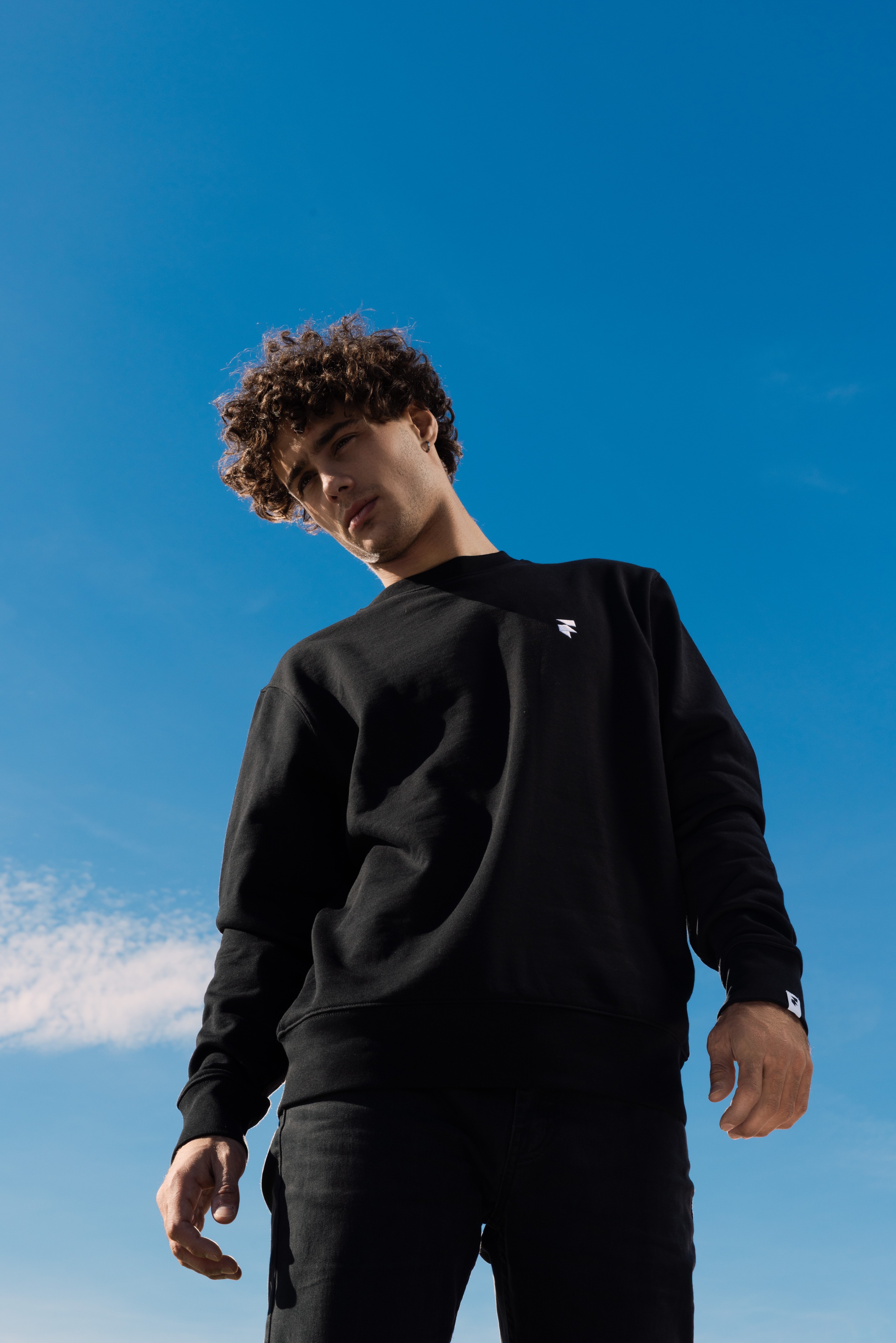 Logo Sweatshirt on the Framer Store
