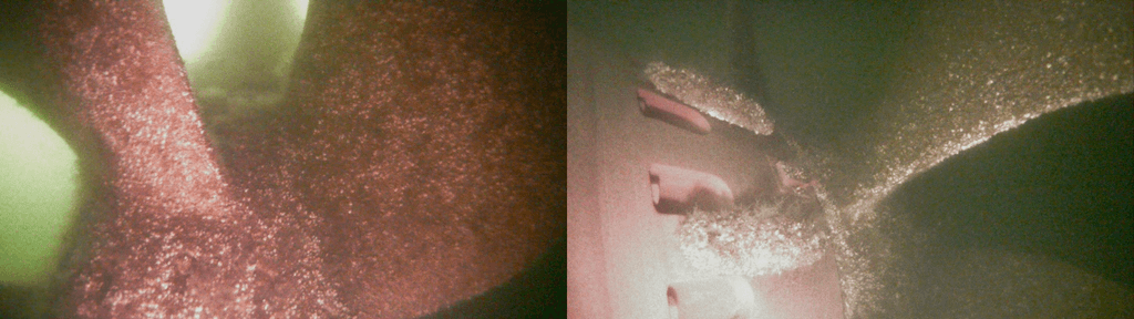 Marine Fouling: The Hidden Drag on Global Shipping – Vesselity Maritime ...