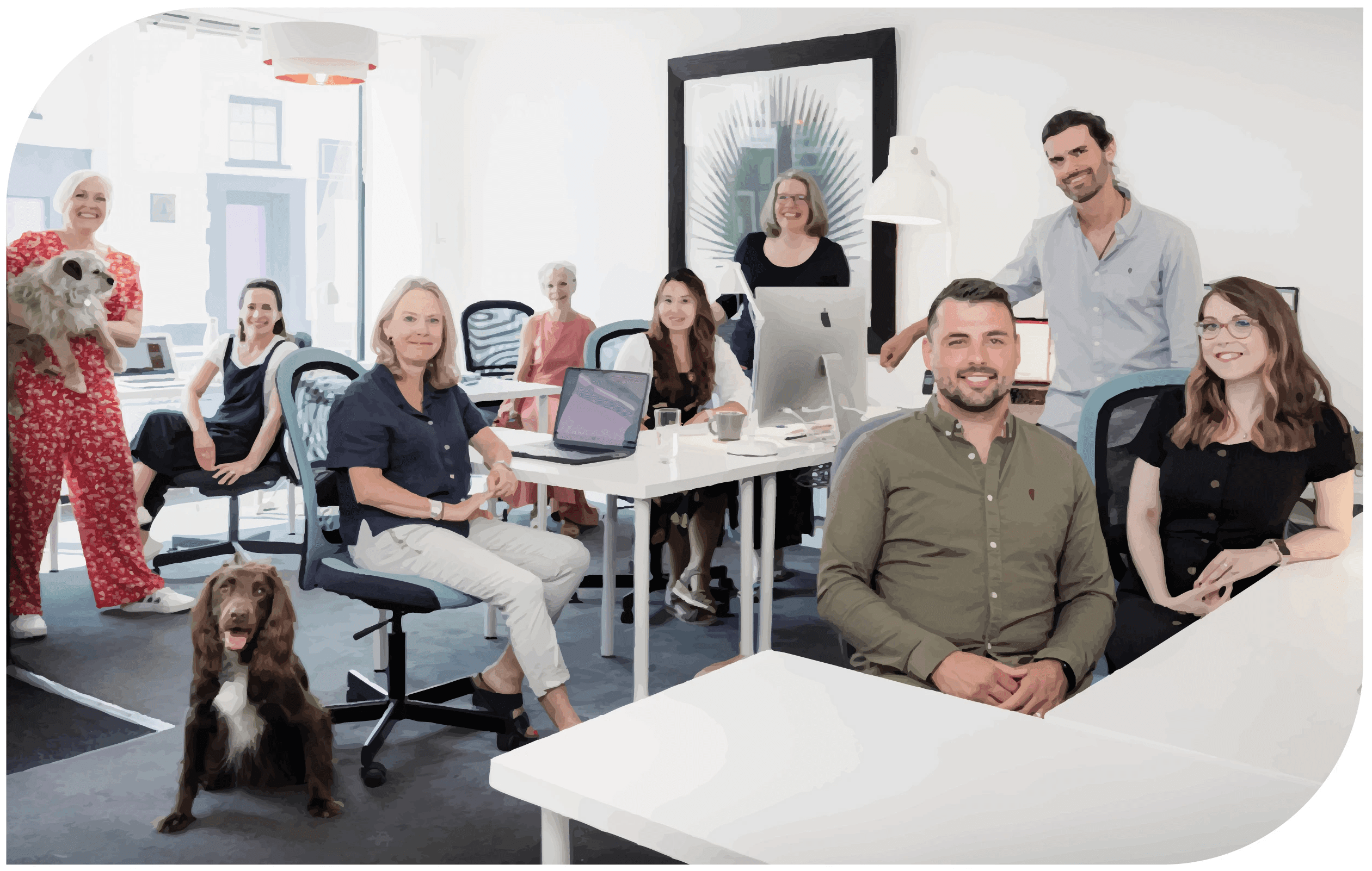 HOOLI. Design | Marketing | Words | Web