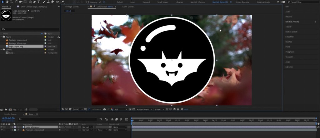 Best After Effects Tutorials - Vagon