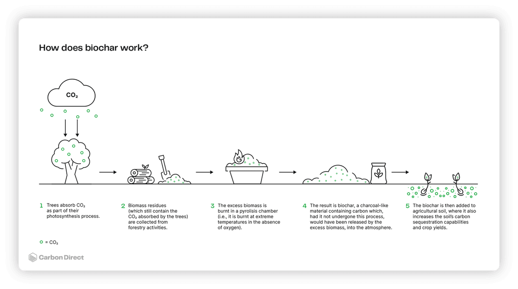 What is biochar? A carbon removal solution gaining ground | Carbon Direct