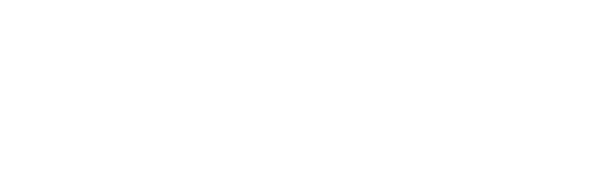 Intravascular Lithotripsy (IVL) Catheters | FastWave Medical