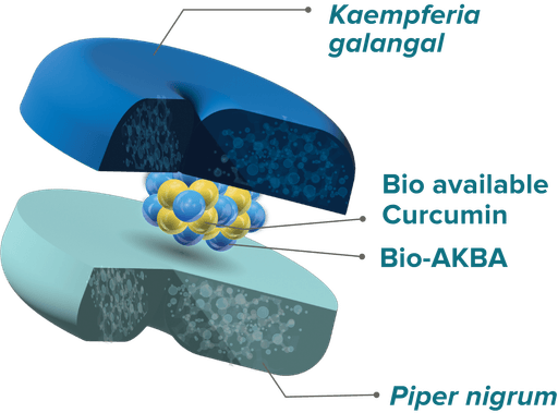 Nutraceutical Products manufacturer and Suppliers India - Aurea Biolabs