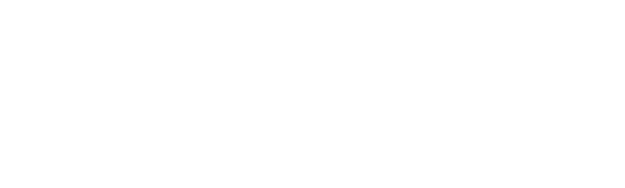 Curious Squid Design Lab