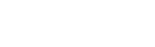 Curious Squid Design Lab