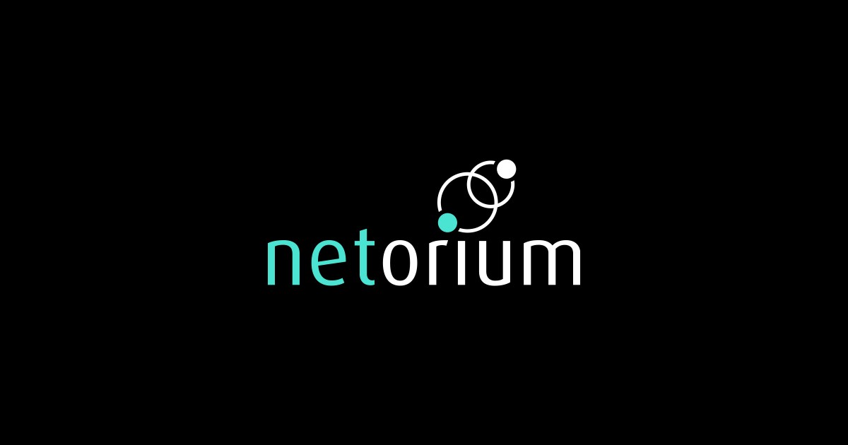 netorium AG – Kompetenzcenter und Technologiescout für die Medienindustrie