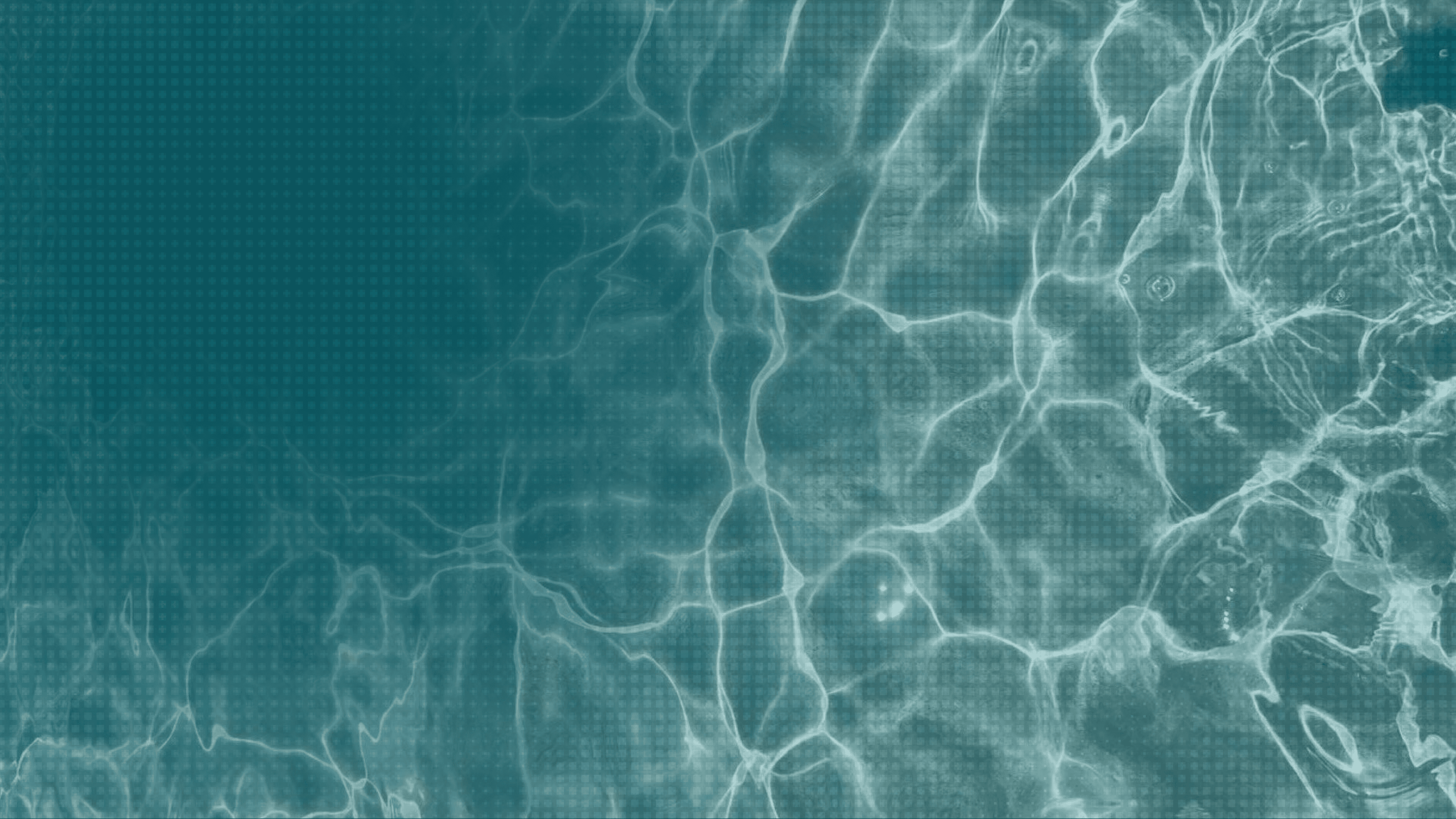 Real-time Voice AI. Built to Scale.