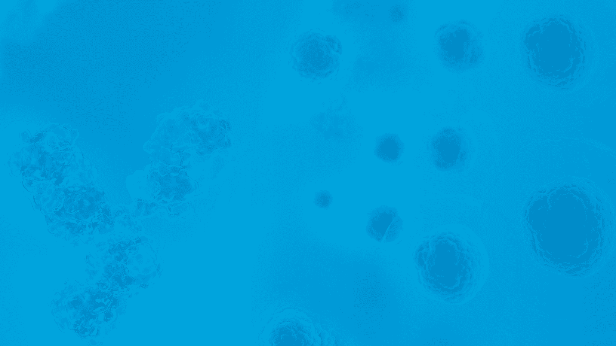 Bionovis. INNOVATION STARTS HERE