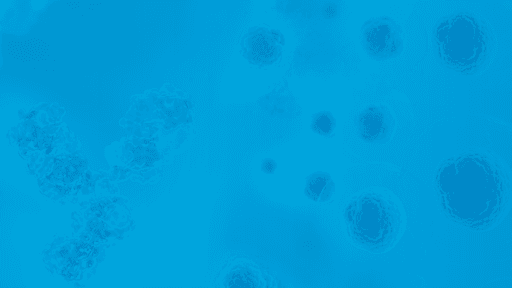 Bionovis. INNOVATION STARTS HERE