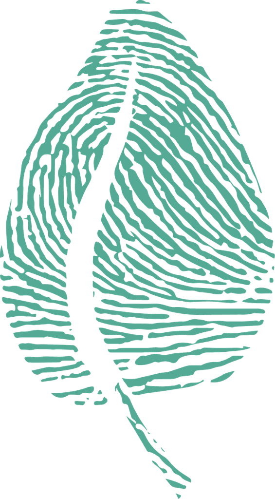 The Yuka App - Food & Cosmetic Scanner Review by Experts - GreenChoice