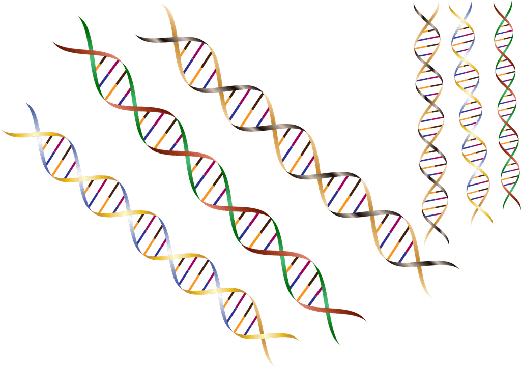 Genetic Genie vs. Promethease: Which DNA analysis tool is right for you ...