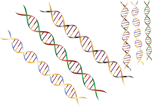 Genetic Genie vs. Promethease: Which DNA analysis tool is right for you ...