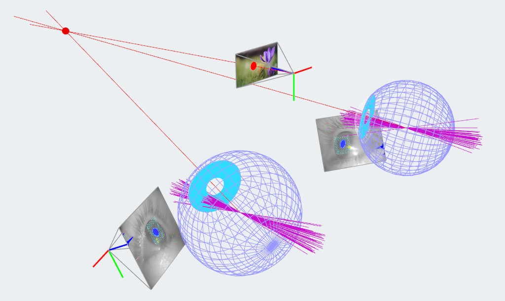 Pupil Core - Open source eye tracking platform