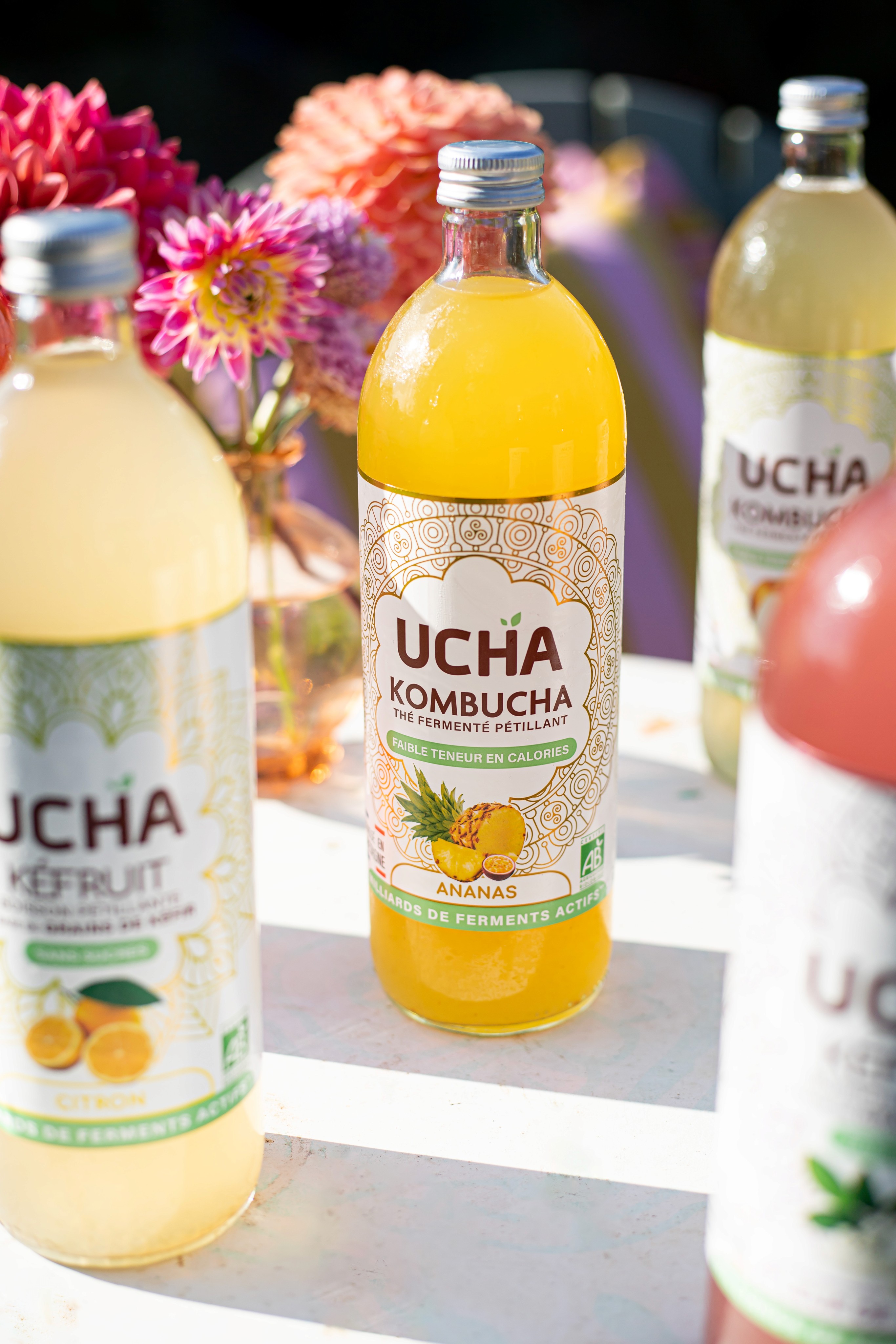Y-a-t-il de l'alcool dans le kombucha ? | UCHA