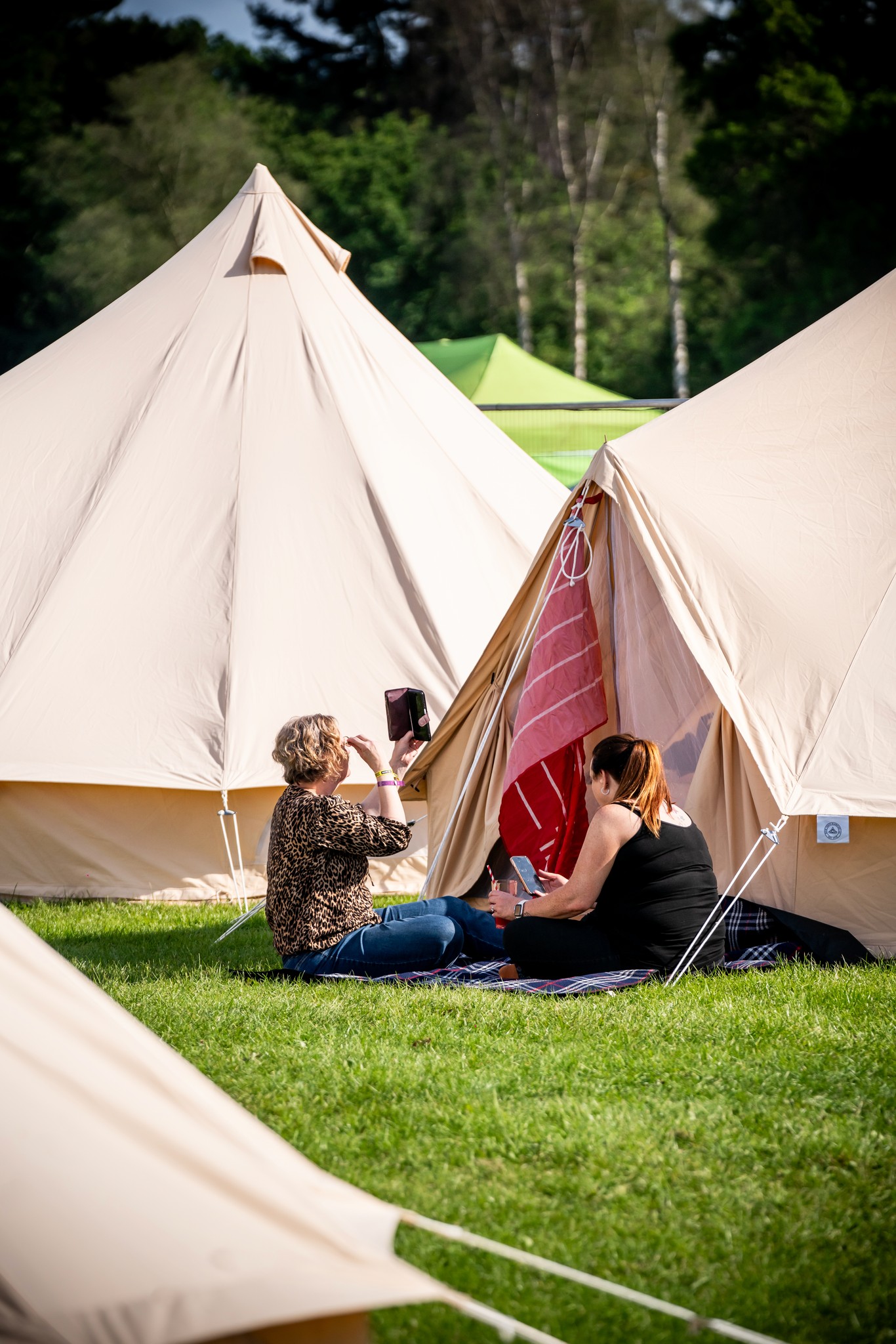 Goodgreef | Trance in the Woods 2026 - Goodgreef