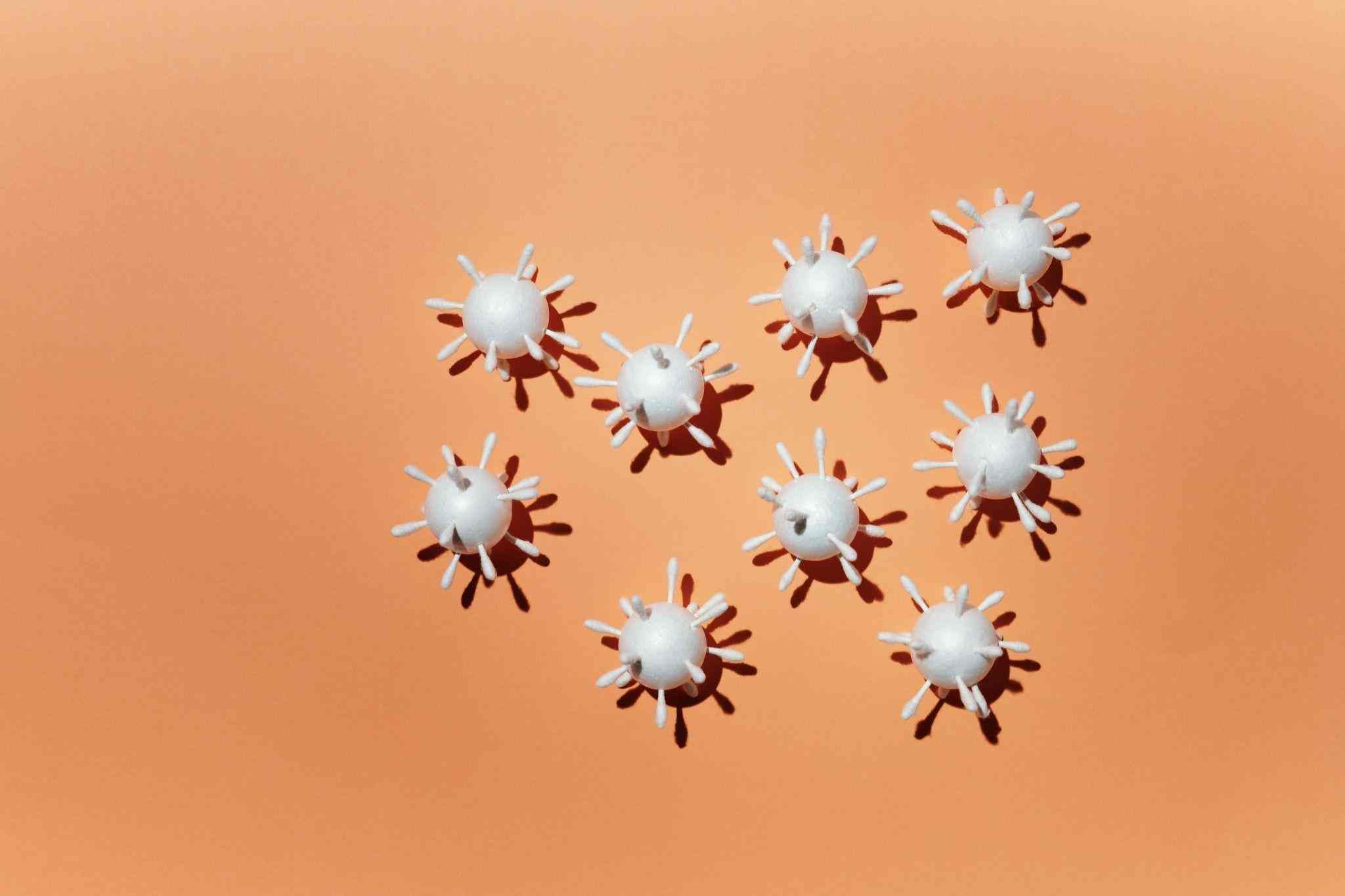 Everything You Need to Know About High White Blood Cell Count | Mito Health