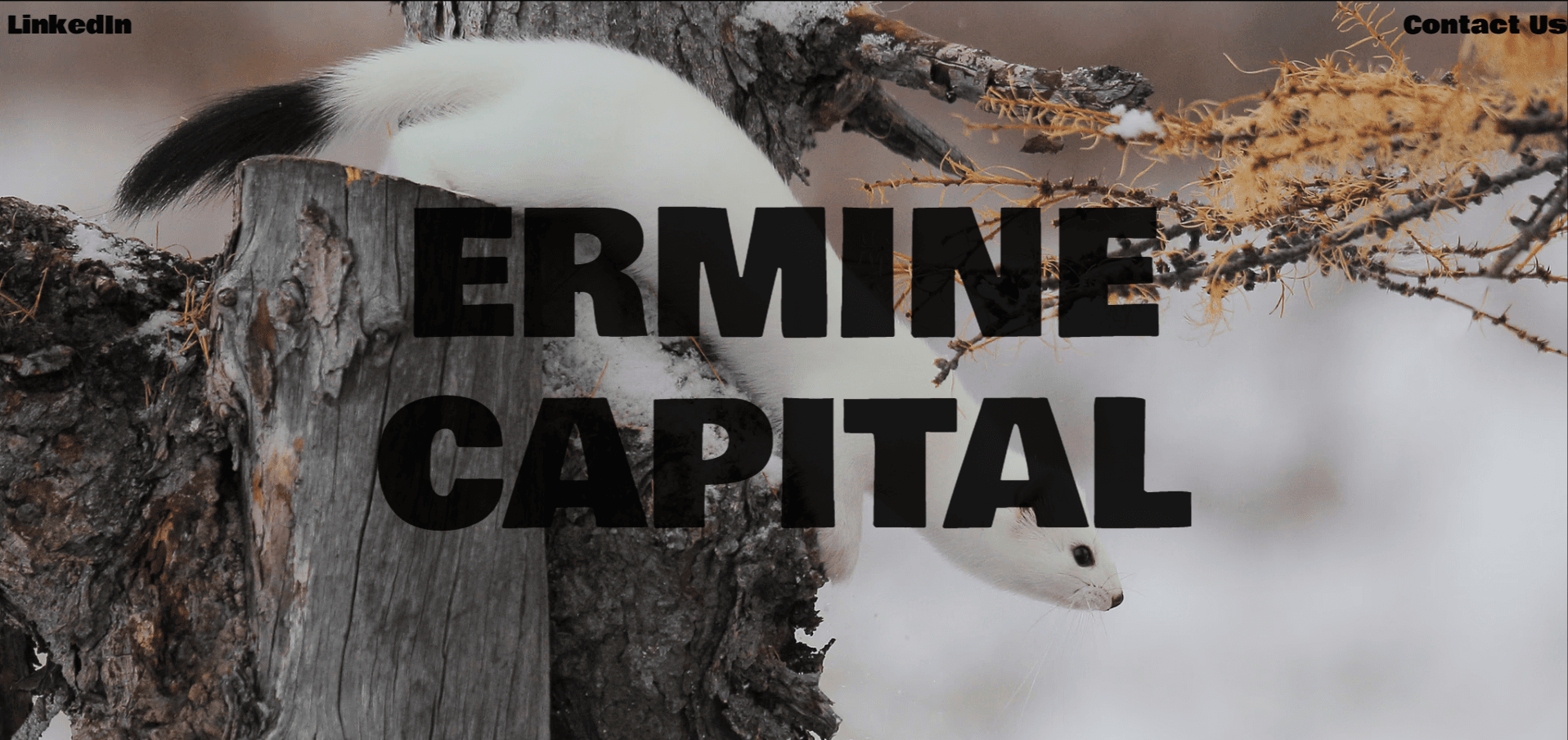 Ermine Capital