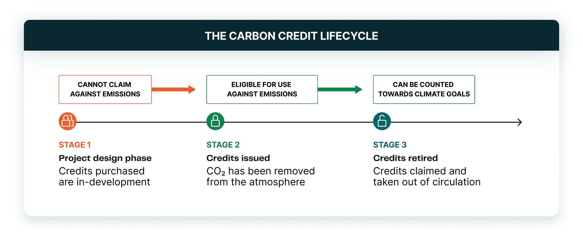 The carbon credit lifecycle explained | Carbon Direct