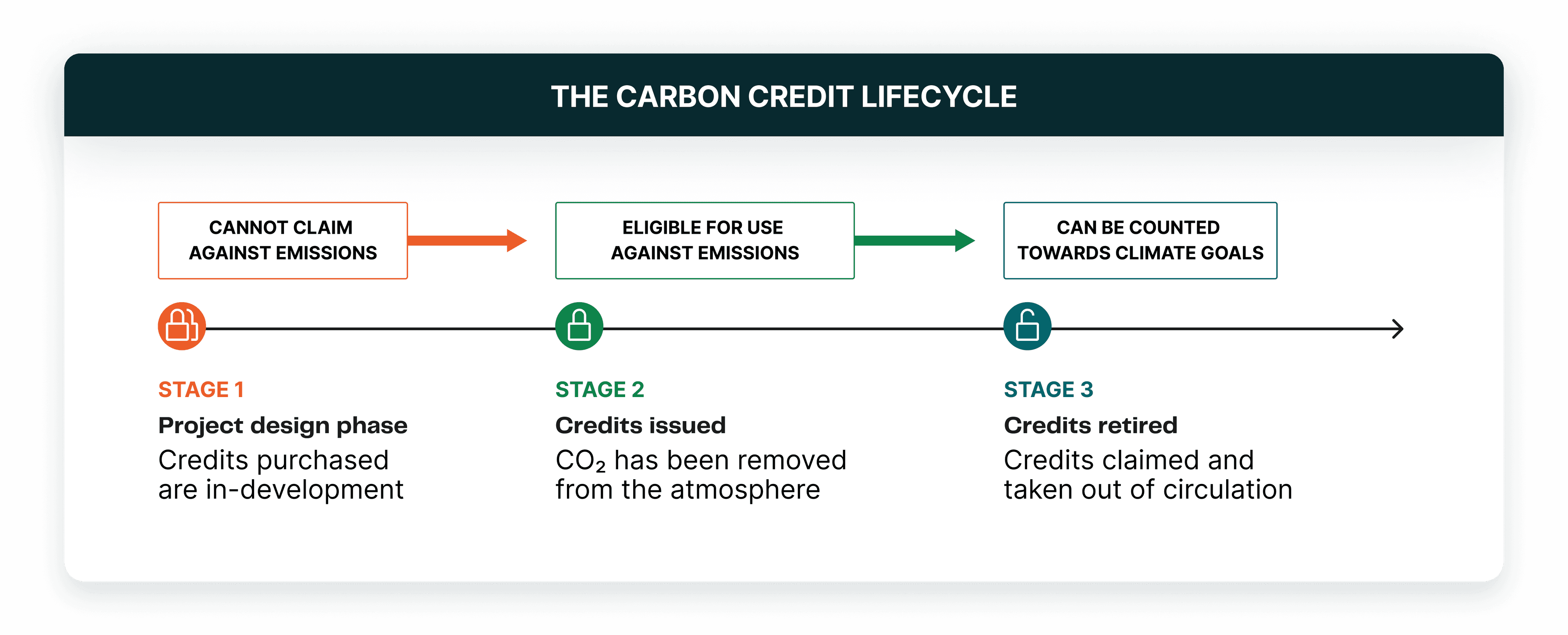 The carbon credit lifecycle explained | Carbon Direct